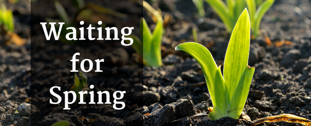 Why Do We Have to Wait? - Biblical Counseling Center